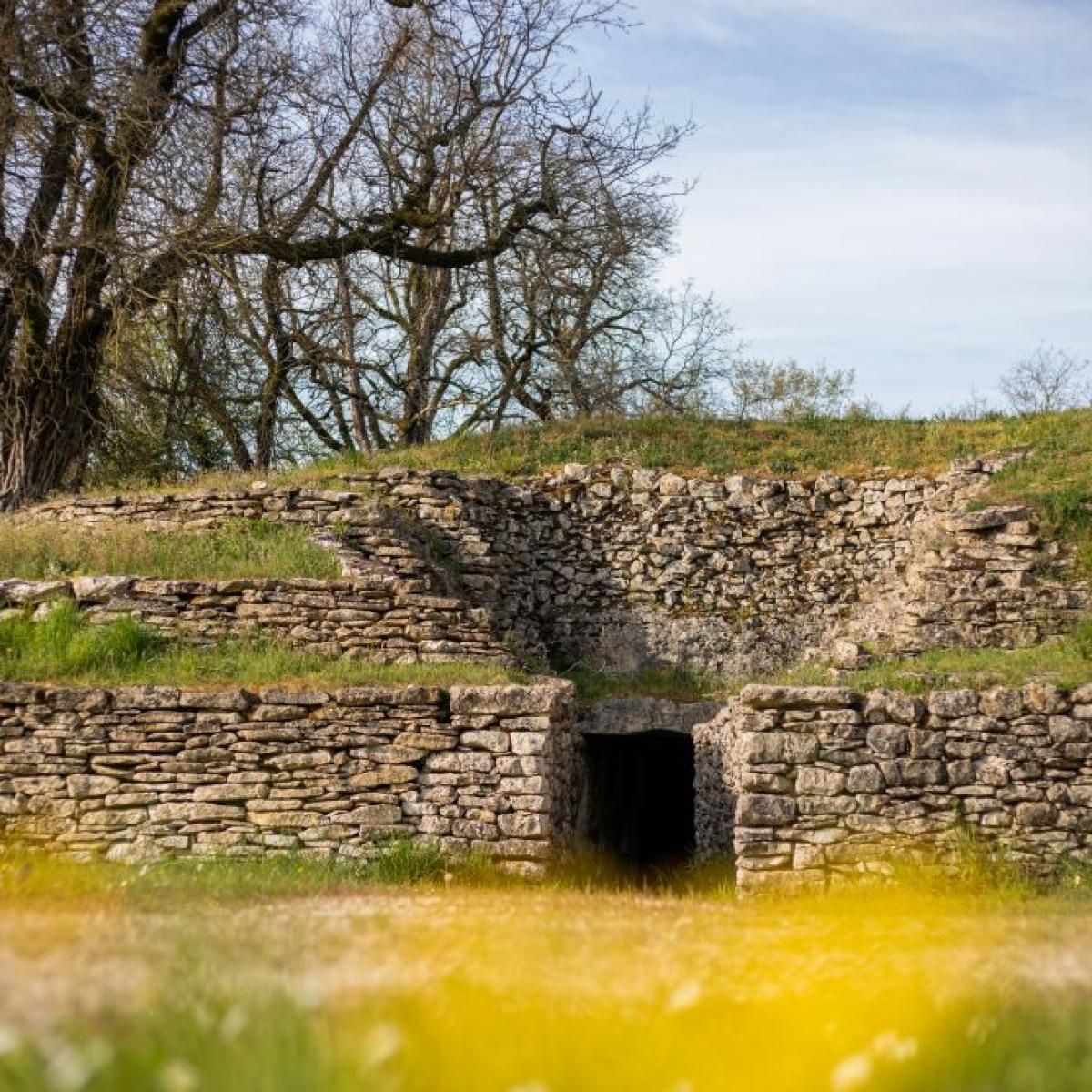 Museum of the Tumulus of Bougon | Haut Val de Sèvre Tourist Office