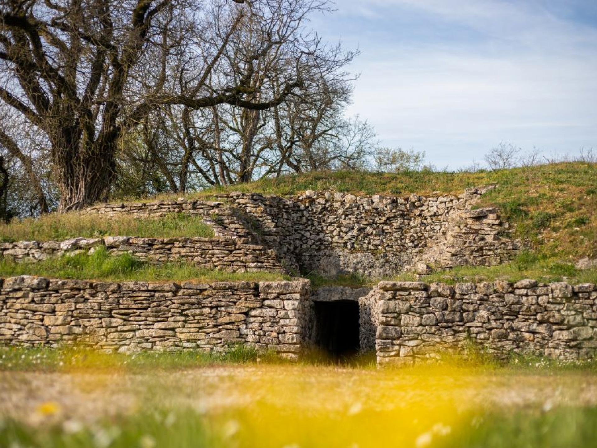 Museum of the Tumulus of Bougon | Haut Val de Sèvre Tourist Office