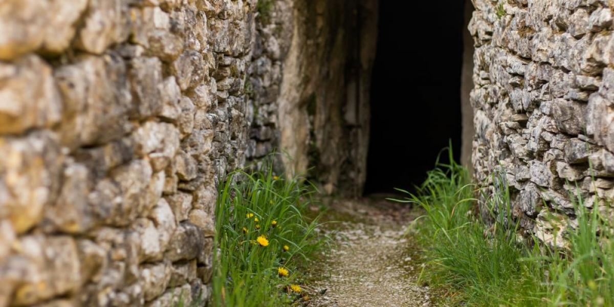 Museum of the Tumulus of Bougon | Haut Val de Sèvre Tourist Office
